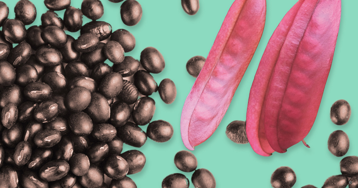 AGLUMIX® Gomme de Tara